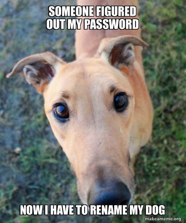 SOMEONE FIGURED OUT MY PASSWORD NOW I HAVE TO RENAME MY DOG Meme Generator