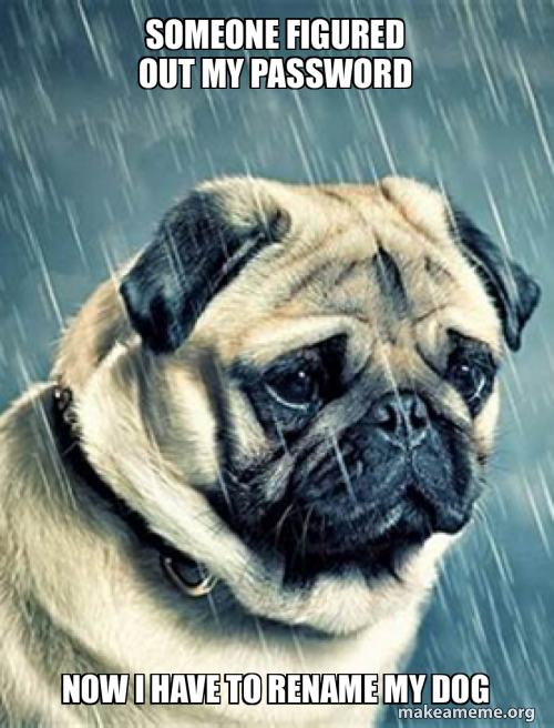 SOMEONE FIGURED OUT MY PASSWORD NOW I HAVE TO RENAME MY DOG Meme Generator
