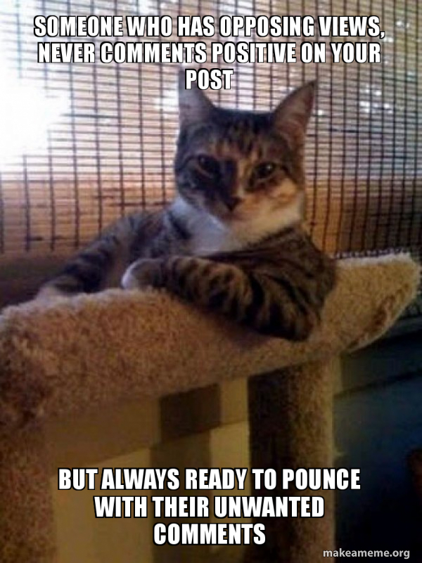 Someone who has opposing views, never comments positive on your post ...