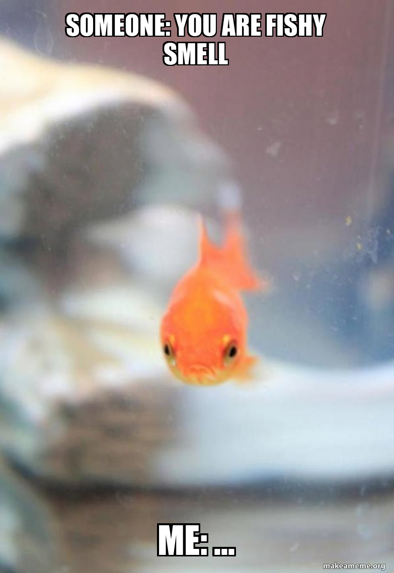 Someone: You are fishy smell Me: ... - Grumpy Fish Meme Generator