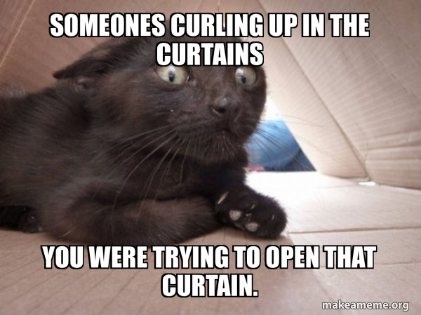 Someones curling up in the curtains You were trying to open that ...