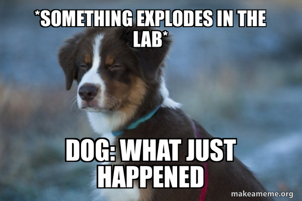 *Something explodes in the lab* Dog: What just happened - Unsure Dog ...