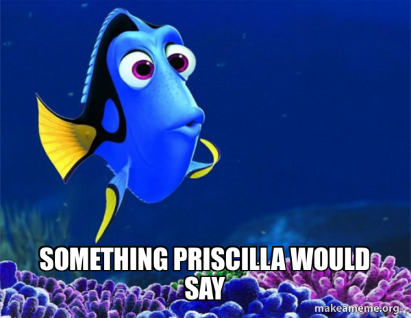 Something Priscilla would say - Dory from Nemo (5 second memory) Meme ...