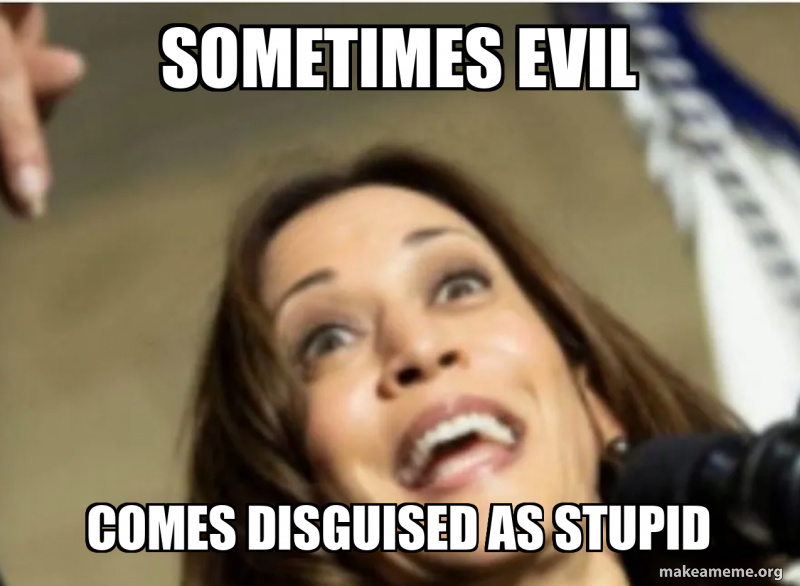 sometimes evil comes disguised as stupid Meme Generator