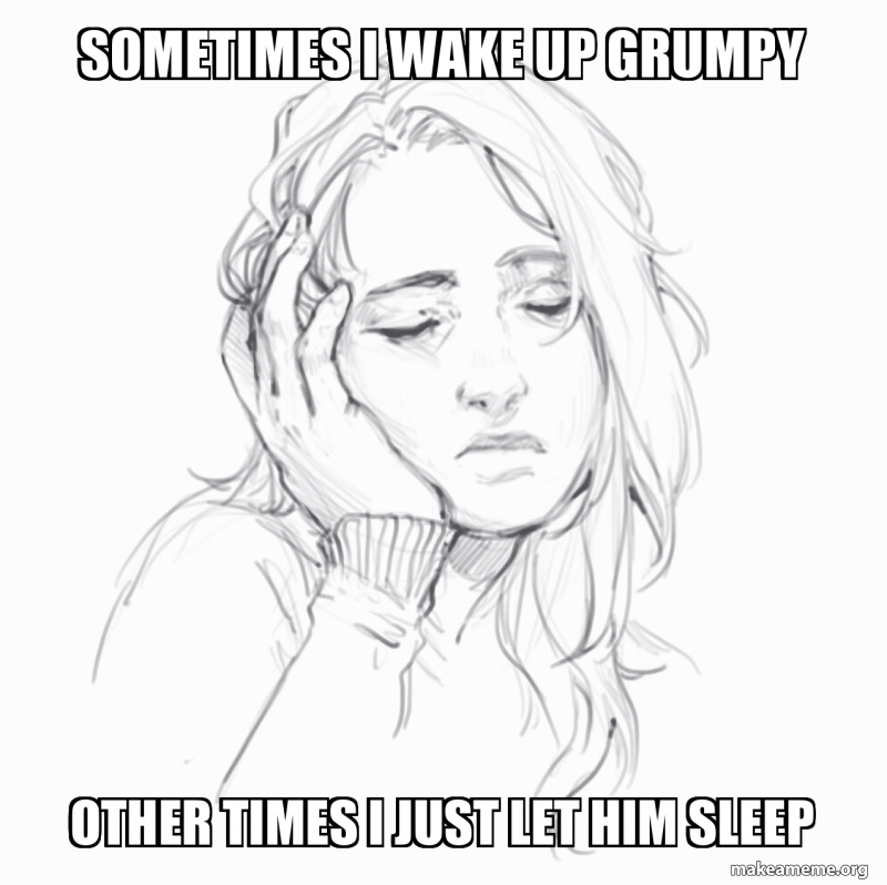 Sometimes I wake up grumpy Other times I just let him sleep Meme Generator