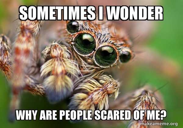 sometimes I wonder why are people scared of me? - Hipster Spider Meme ...