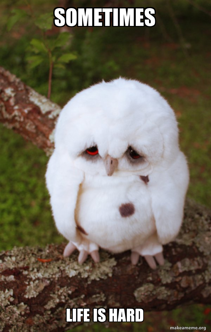 Sometimes Life is hard - Sad Owl Meme Generator