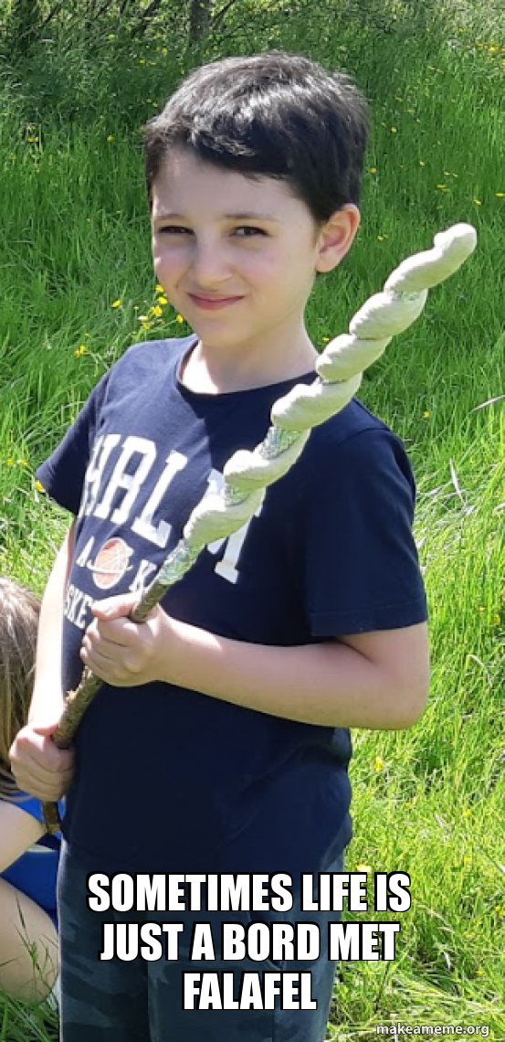 sometimes life is just a bord met falafel Meme Generator