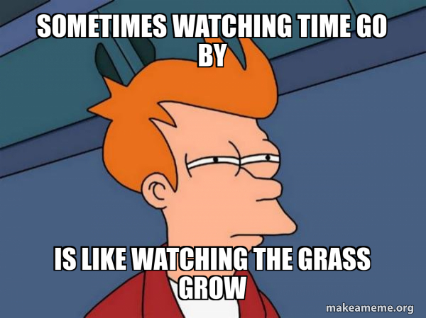 SOMETIMES WATCHING TIME GO BY IS LIKE WATCHING THE GRASS GROW ...