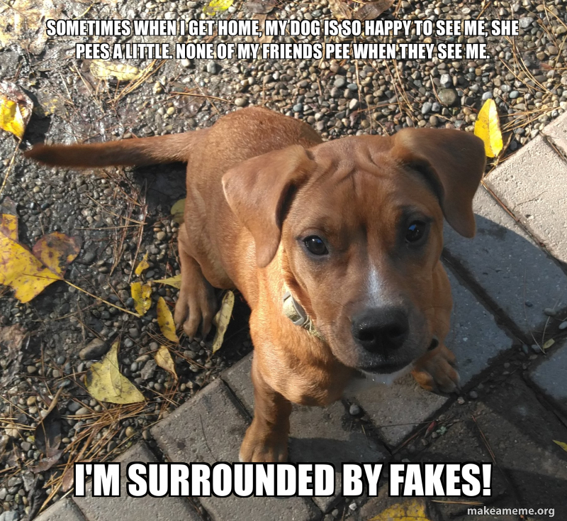 Sometimes when I get home, my dog is so happy to see ME, she pees a ...