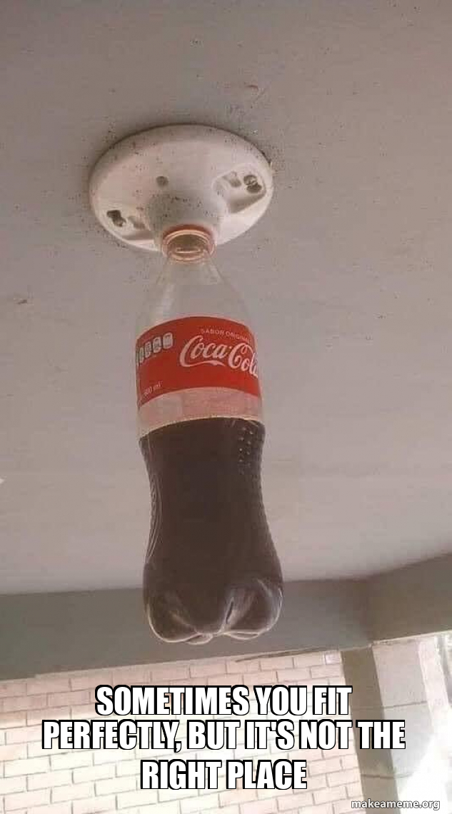 Sometimes you fit perfectly, but it's not the right place Meme Generator
