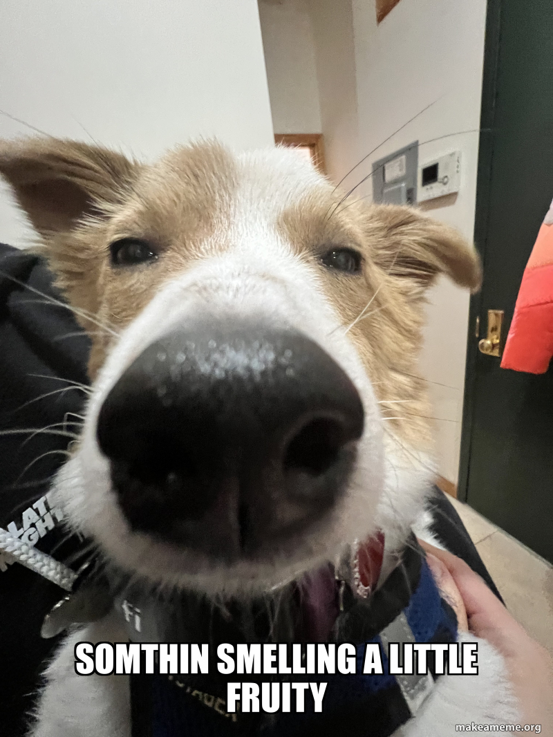 Somthin smelling a little fruity Meme Generator