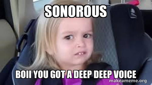 sonorous boii you got a deep deep voice Meme Generator