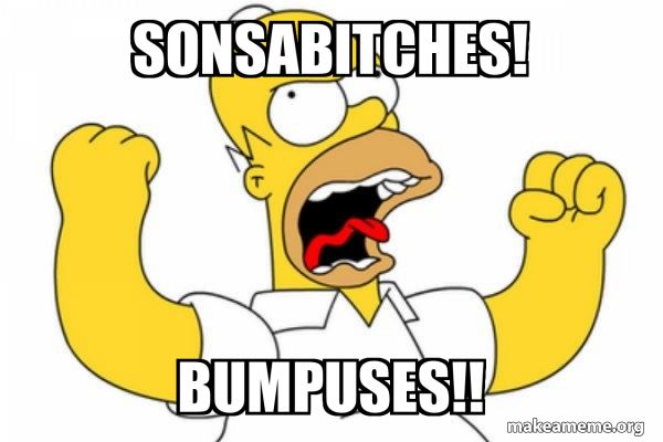 Sonsabitches! Bumpuses!! - Homer Raging Meme Generator