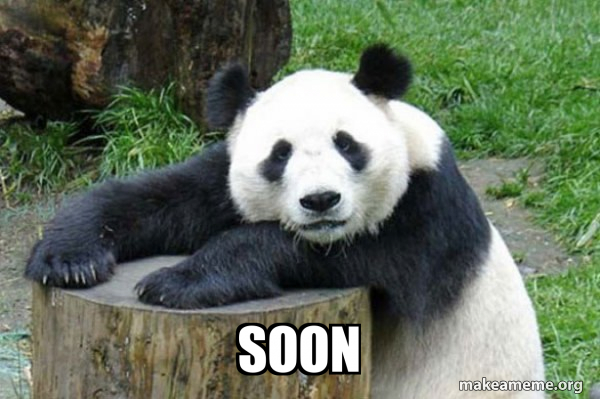 SOON - Confession Panda Meme Generator