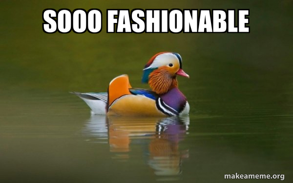 Sooo Fashionable - Fashionable Advice Mallard Meme Generator
