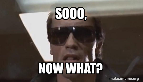Sooo, Now what? - The Terminator Meme Generator