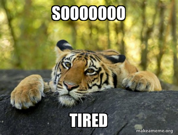 sooooooo tired - Confession Tiger Meme Generator