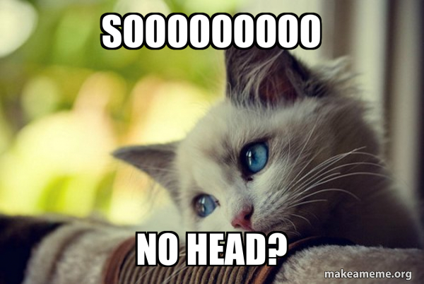 Sooooooooo No head? - First World Cat Problems Meme Generator