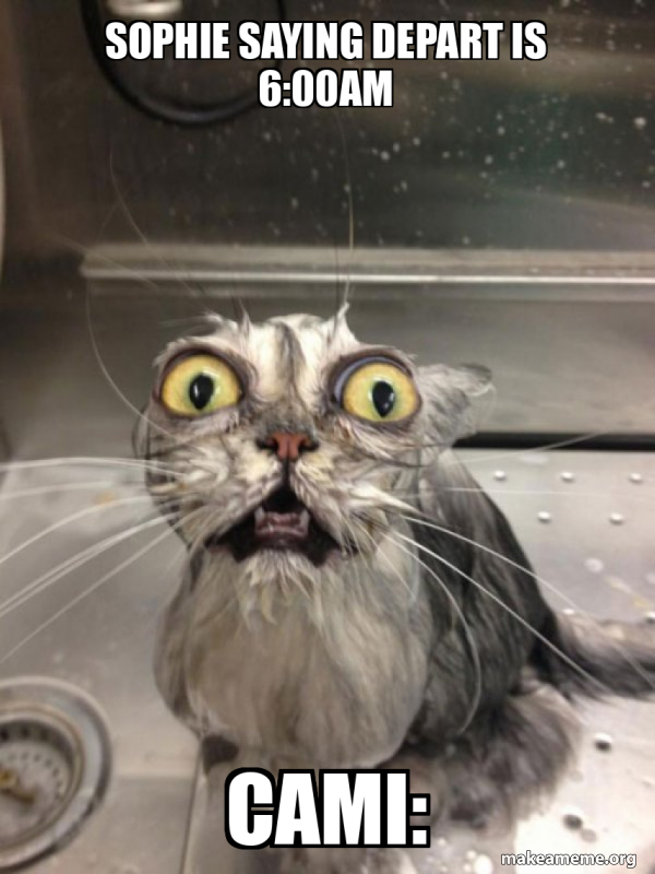 Sophie saying depart is 6:00am CAMI: - Cat bath Meme Generator