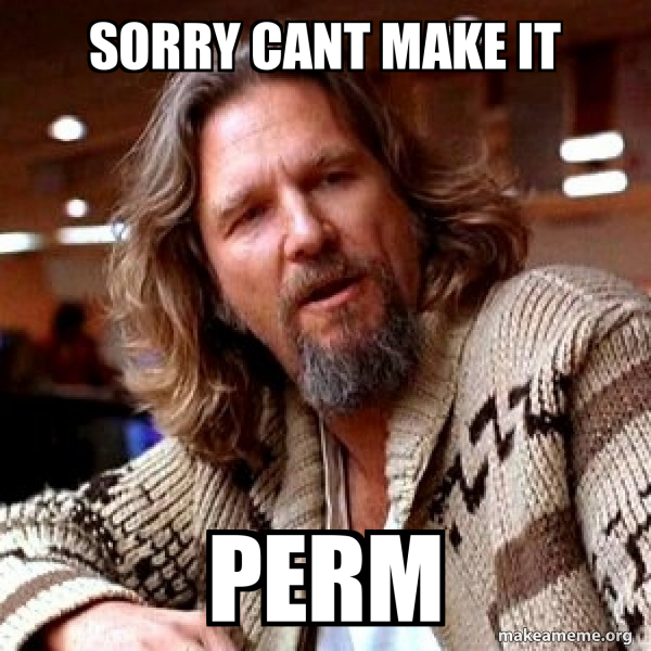sorry cant make it perm - Big Lebowski Meme Generator