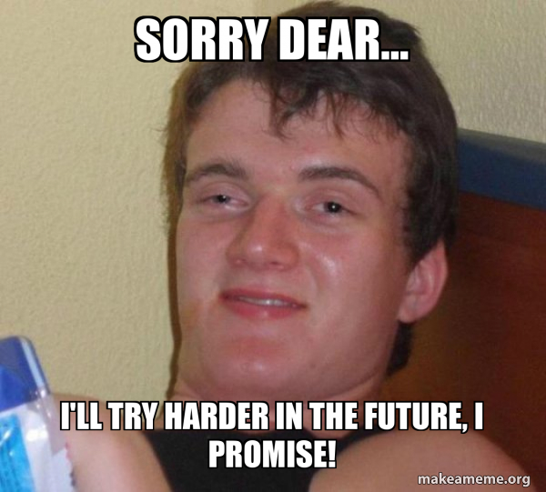Sorry dear... I'll try harder in the future, I promise! - [10] guy Meme ...