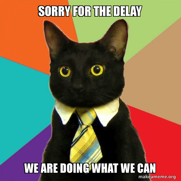 Sorry for the delay We are doing what we can - Business Cat Meme Generator