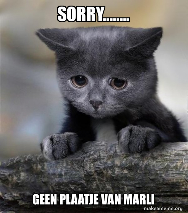 Sorry........ geen plaatje van Marli - Confession Cat Meme Generator