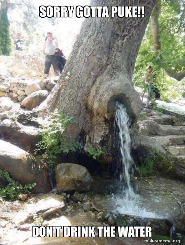 Sorry GOtta puke!! don't drink the water Meme Generator