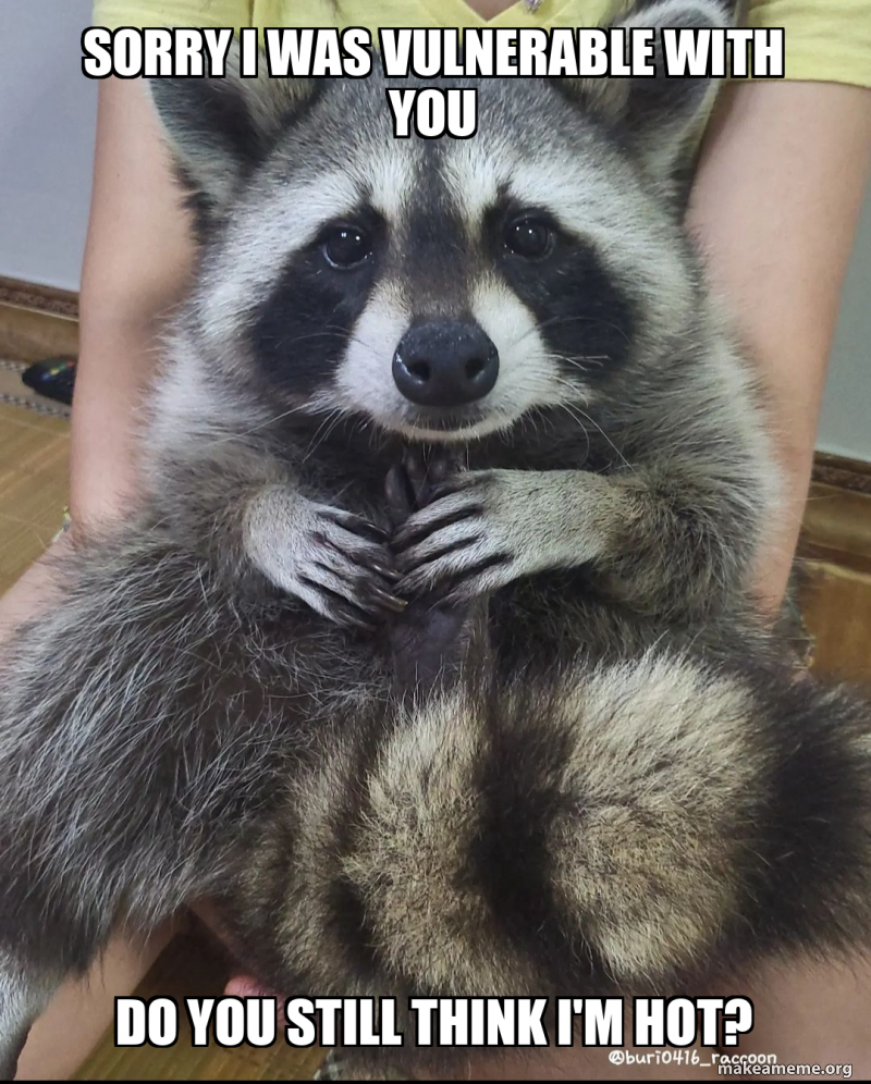 Sorry I was vulnerable with you Do you still think I'm hot? Meme Generator