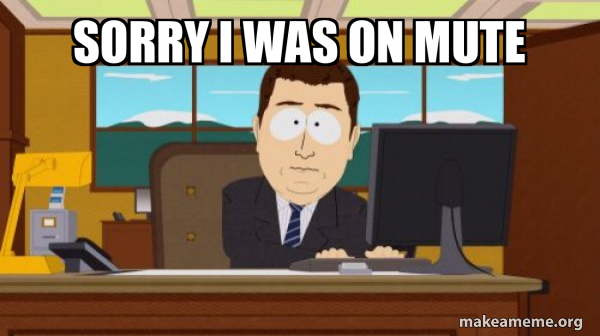 Sorry I was on mute - aaaand its gone Meme Generator