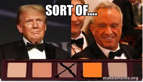 sort of.... Meme Generator