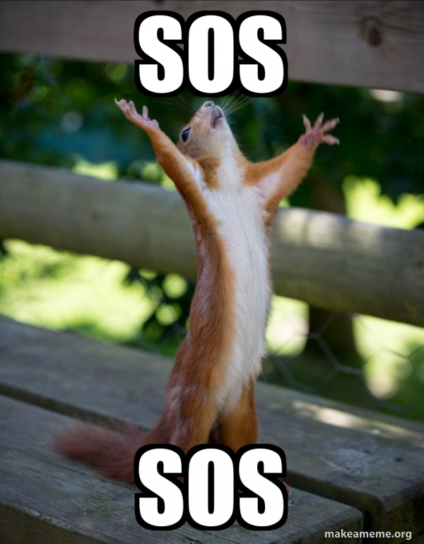 Sos Sos - Happy Squirrel Meme Generator