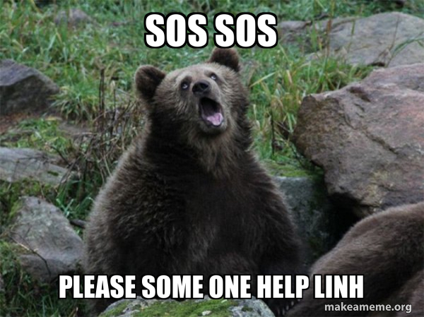 SOS SOS PLEASE SOME ONE HELP LINH - Sarcastic Bear Meme Generator