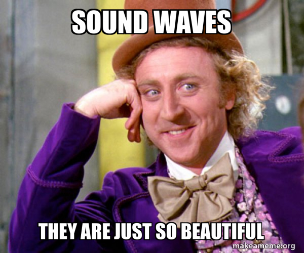 Sound waves They are just so beautiful - Willy Wonka Sarcasm Meme Meme ...