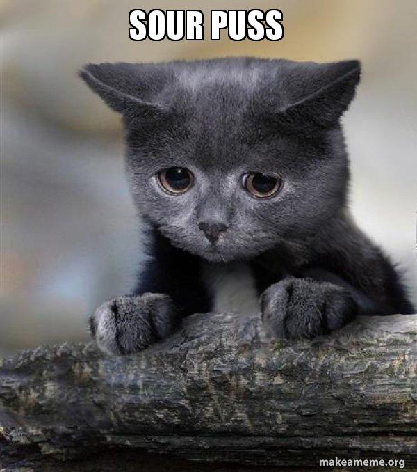 sour puss - Confession Cat Meme Generator