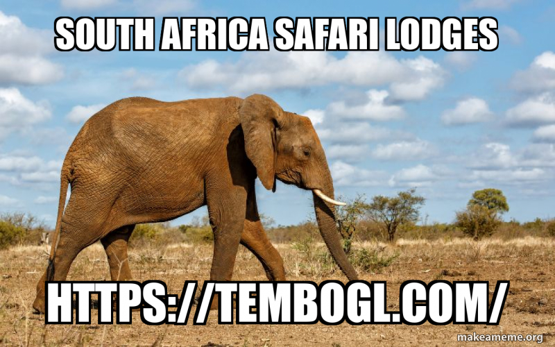 South Africa safari lodges HTTPS://TEMBOGL.COM/ Meme Generator