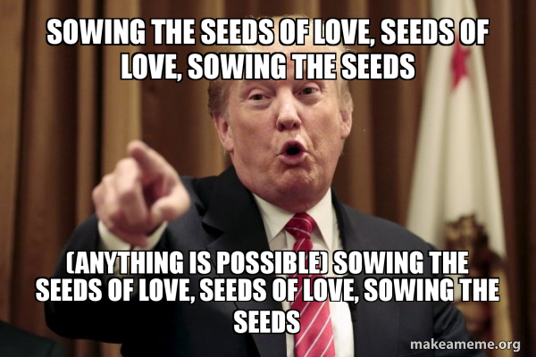 Sowing the Seeds of Love, seeds of love, sowing the seeds (Anything is ...
