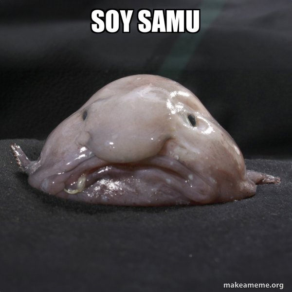 soy samu - Blobfish Meme Generator