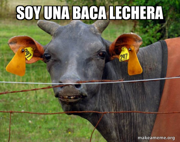soy una baca lechera - Hairless Cow Meme Generator