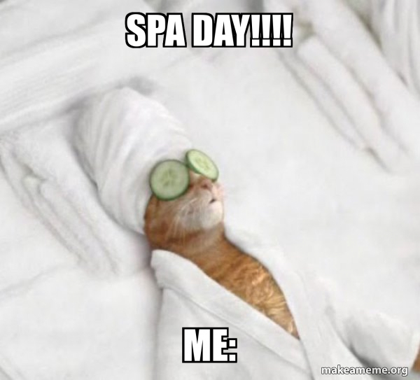 Spa day!!!! me: - Pampered Cat Meme Meme Generator