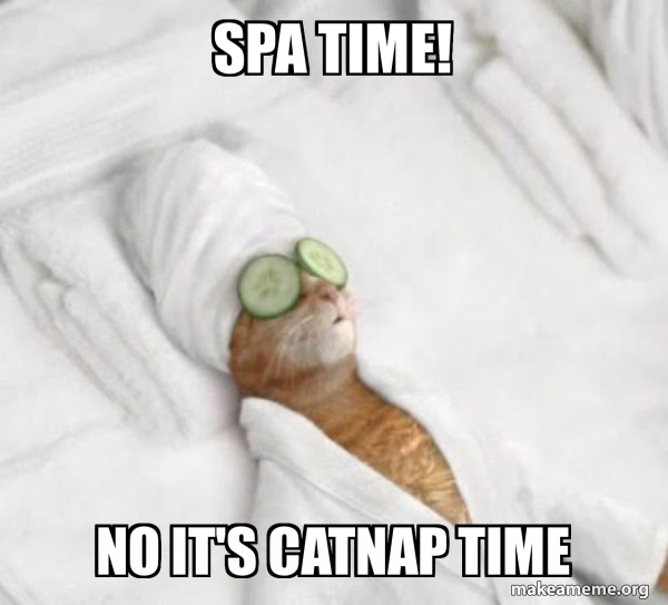 spa time! NO IT'S CATNAP TIME - Pampered Cat Meme Meme Generator
