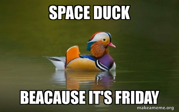 Space duck beacause it's friday - Fashionable Advice Mallard Meme Generator