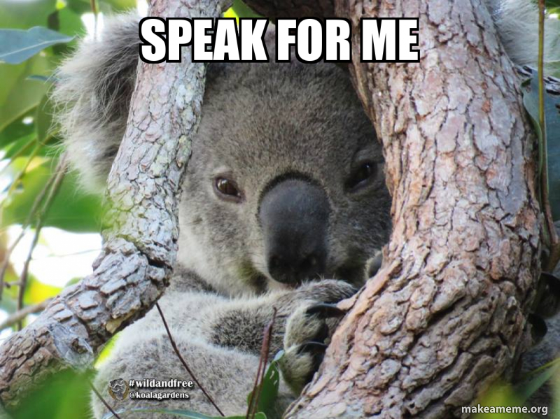 speak for me Meme Generator