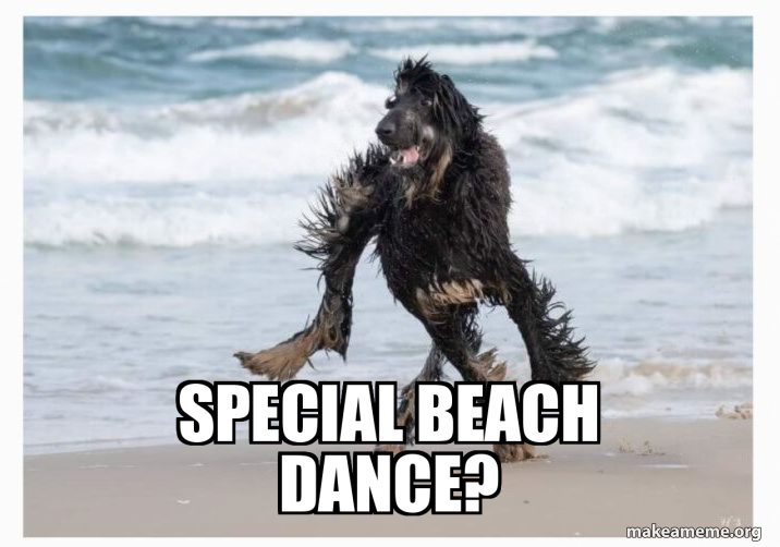 special beach dance? Meme Generator