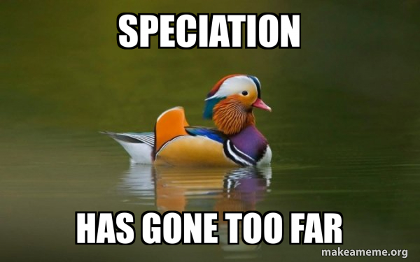 speciation has gone too far - Fashionable Advice Mallard Meme Generator