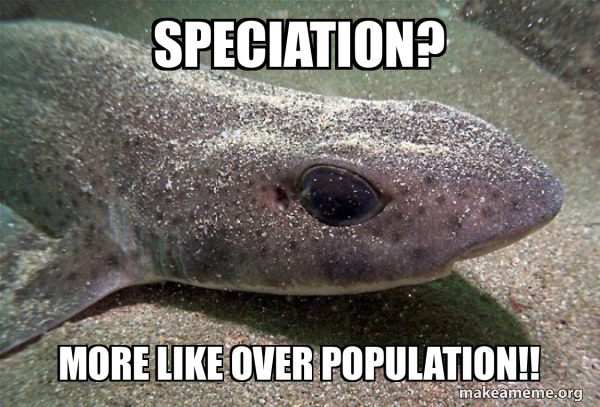 Speciation? more like over population!! - Dirty Joke Dogfish Meme Generator
