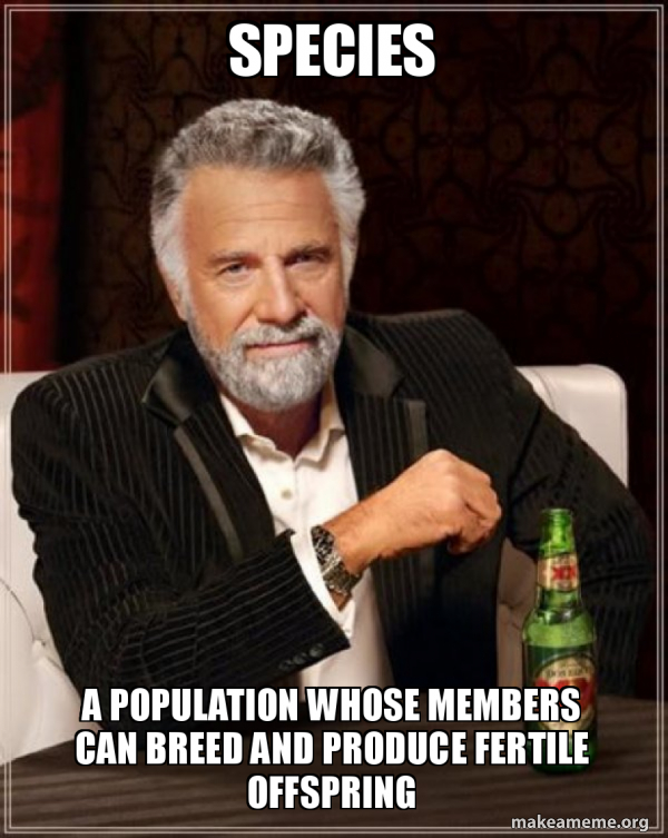 species a population whose members can breed and produce fertile ...