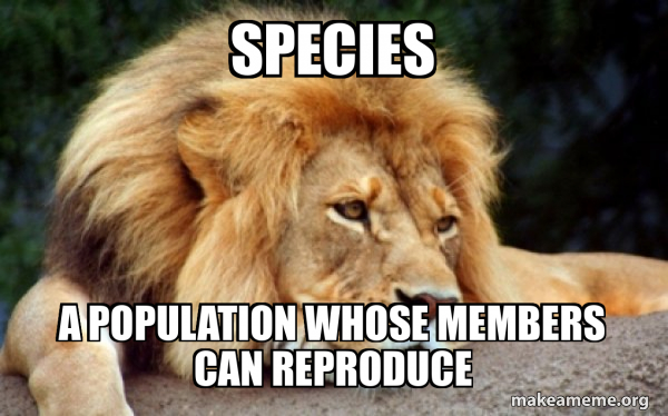 Species a population whose members can reproduce - Confession Lion Meme ...