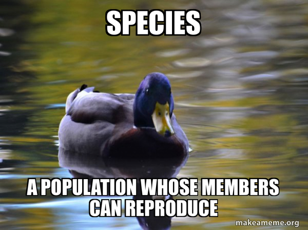 Species A population whose members can reproduce - Zen Advice Mallard ...
